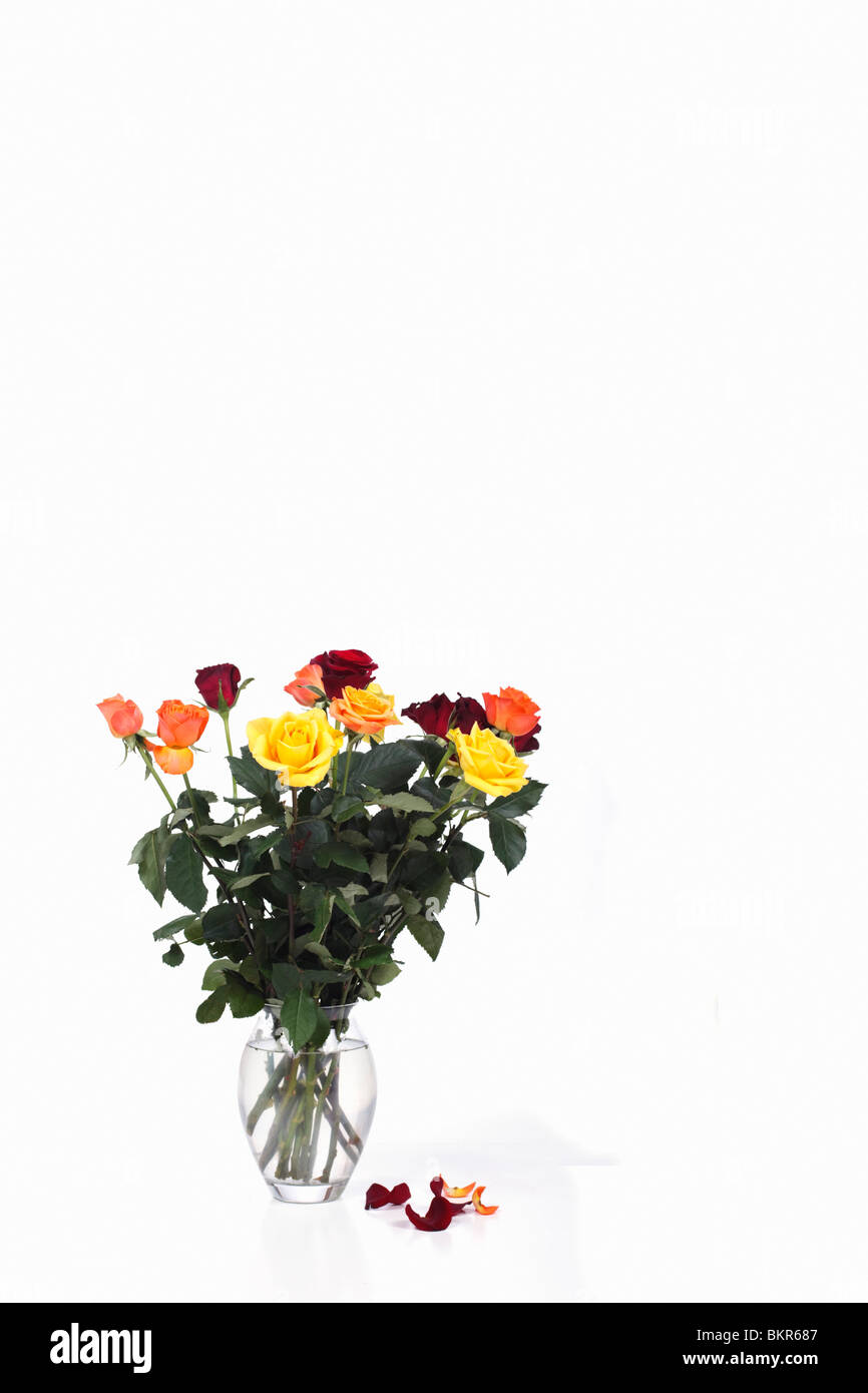Vase of yellow, pink and red roses. Isolated. Copy space Stock Photo ...