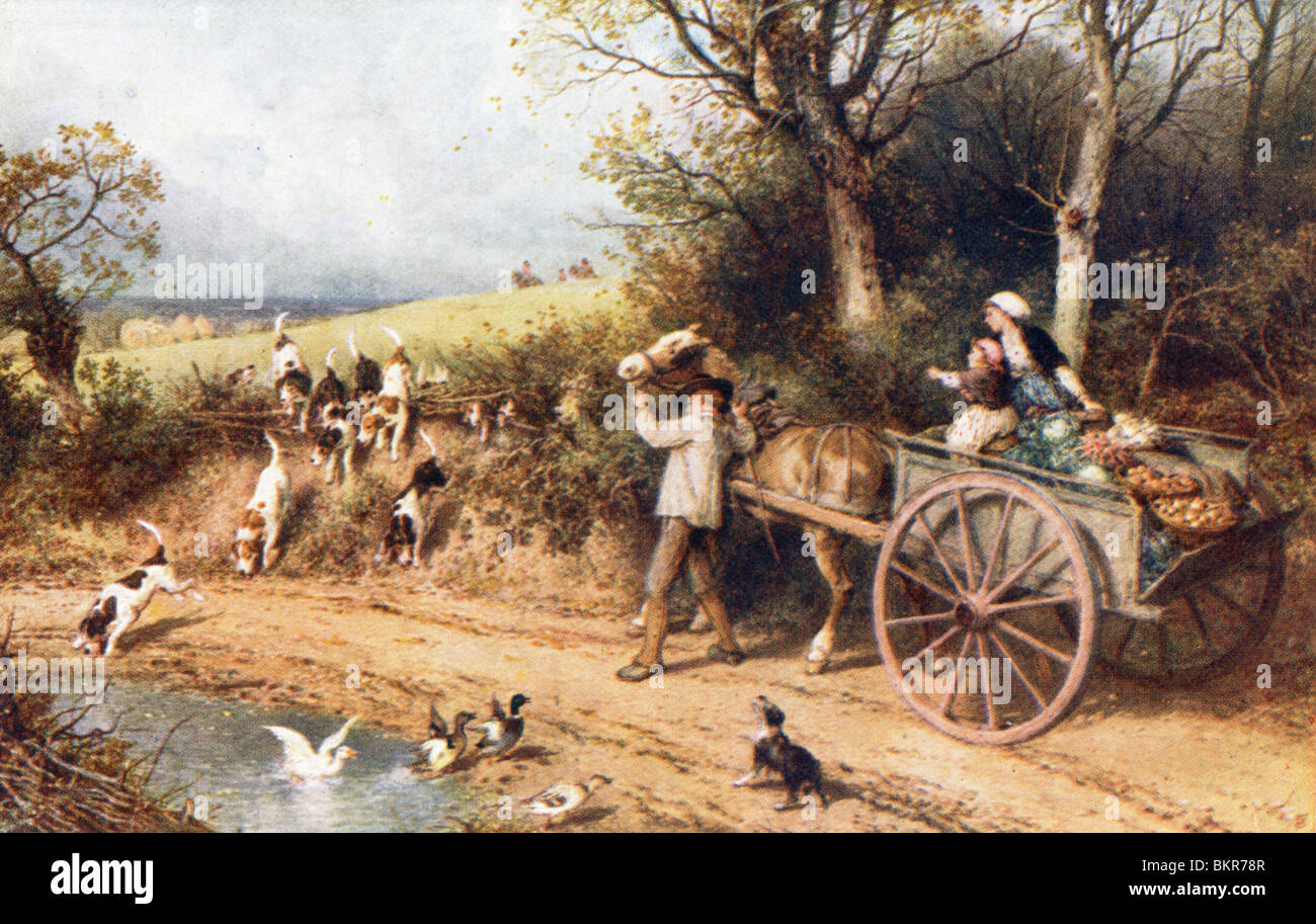 In Full Cry Stock Photo - Alamy