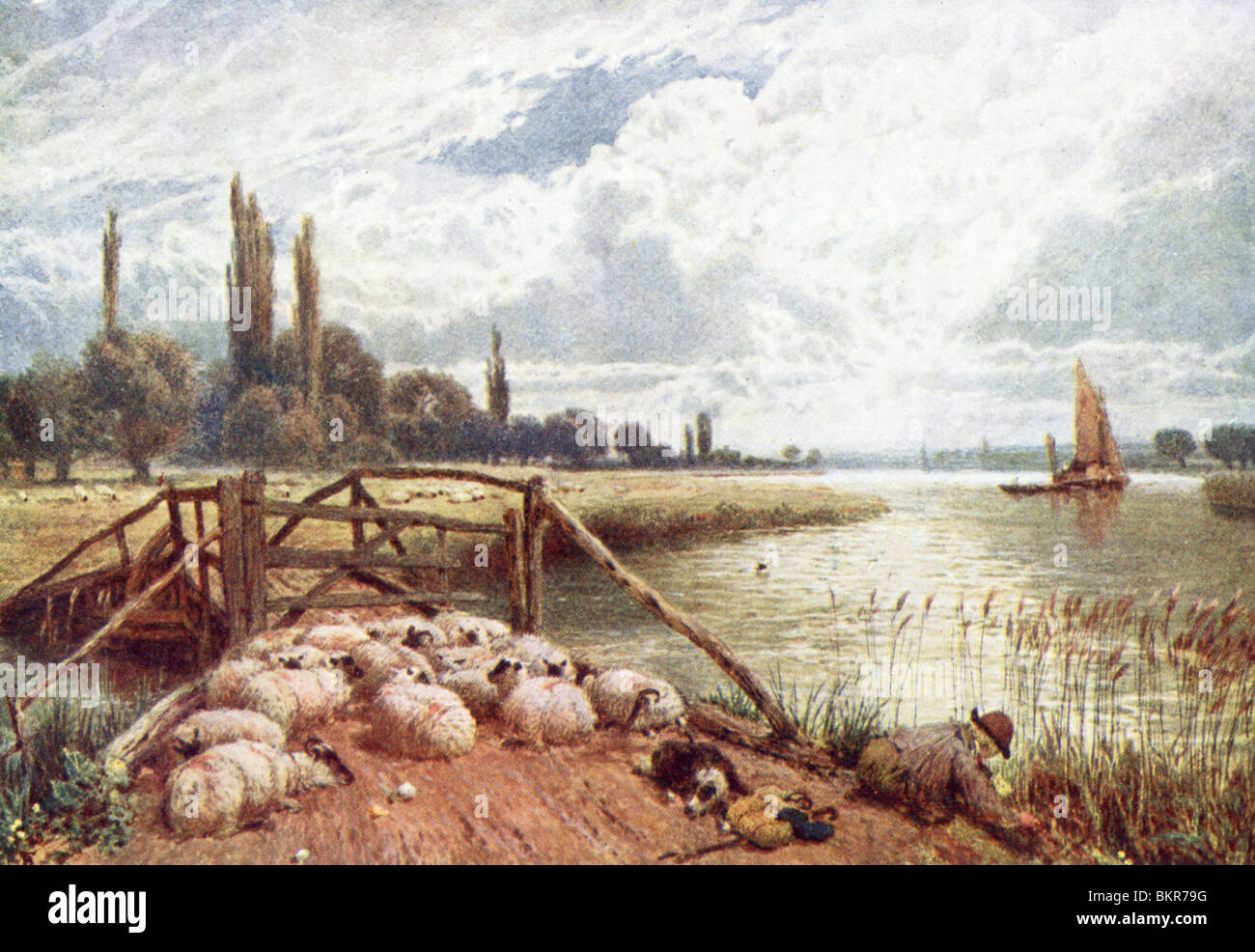 Thames animals hi-res stock photography and images - Alamy