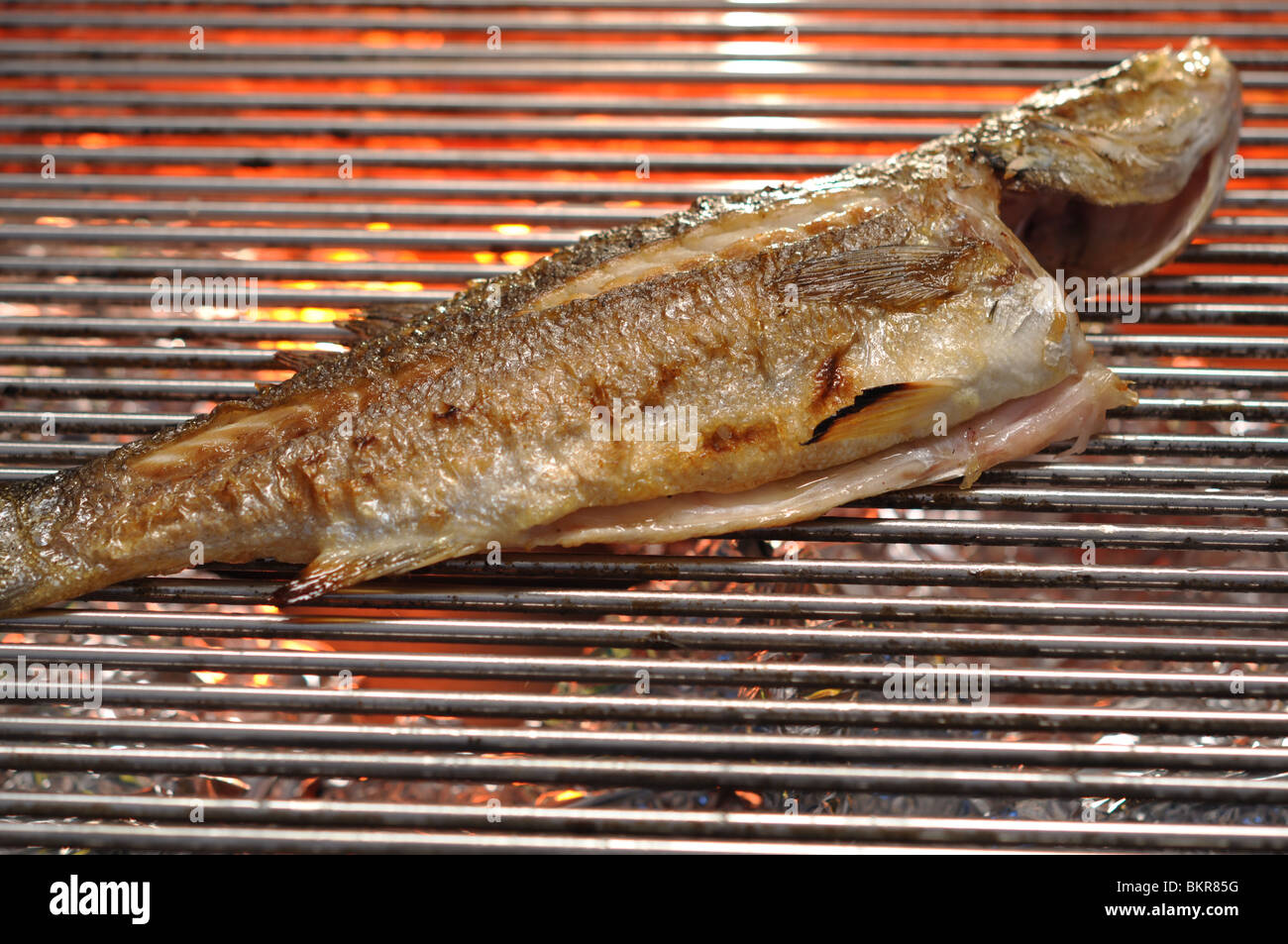 grilled sea bass on the plate Stock Photo - Alamy