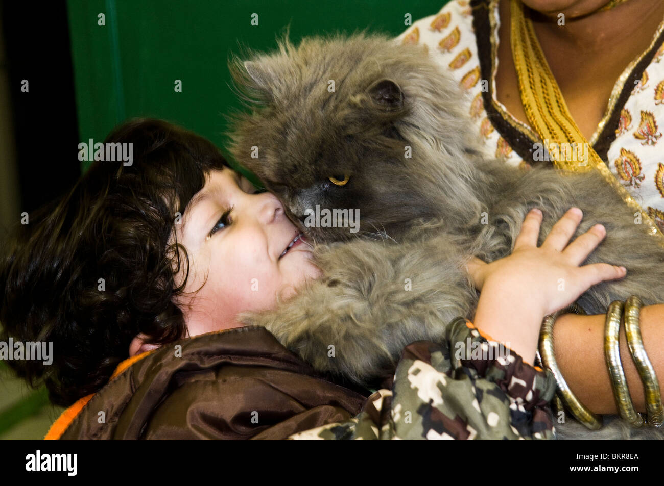 Loving his cat Stock Photo - Alamy