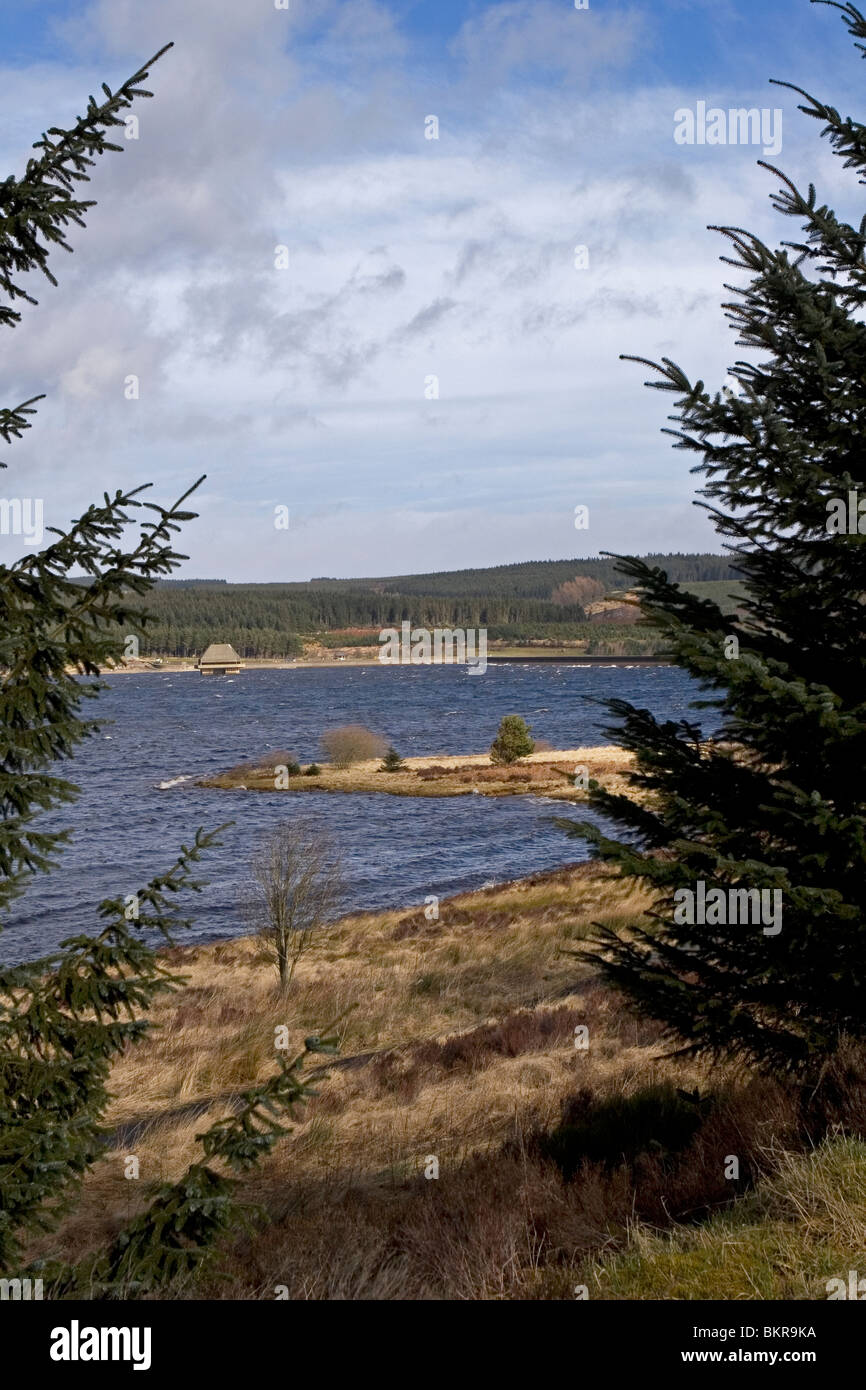 Kielder Water Reservoir and Dam through forest trees from Tower Knowe ...