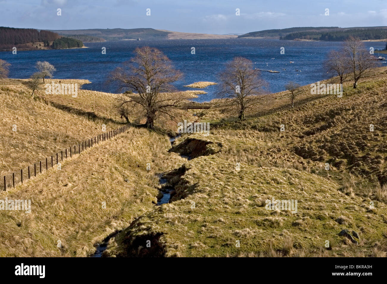 View down valley and stream to Kielder Water Reservoir with Dam in ...