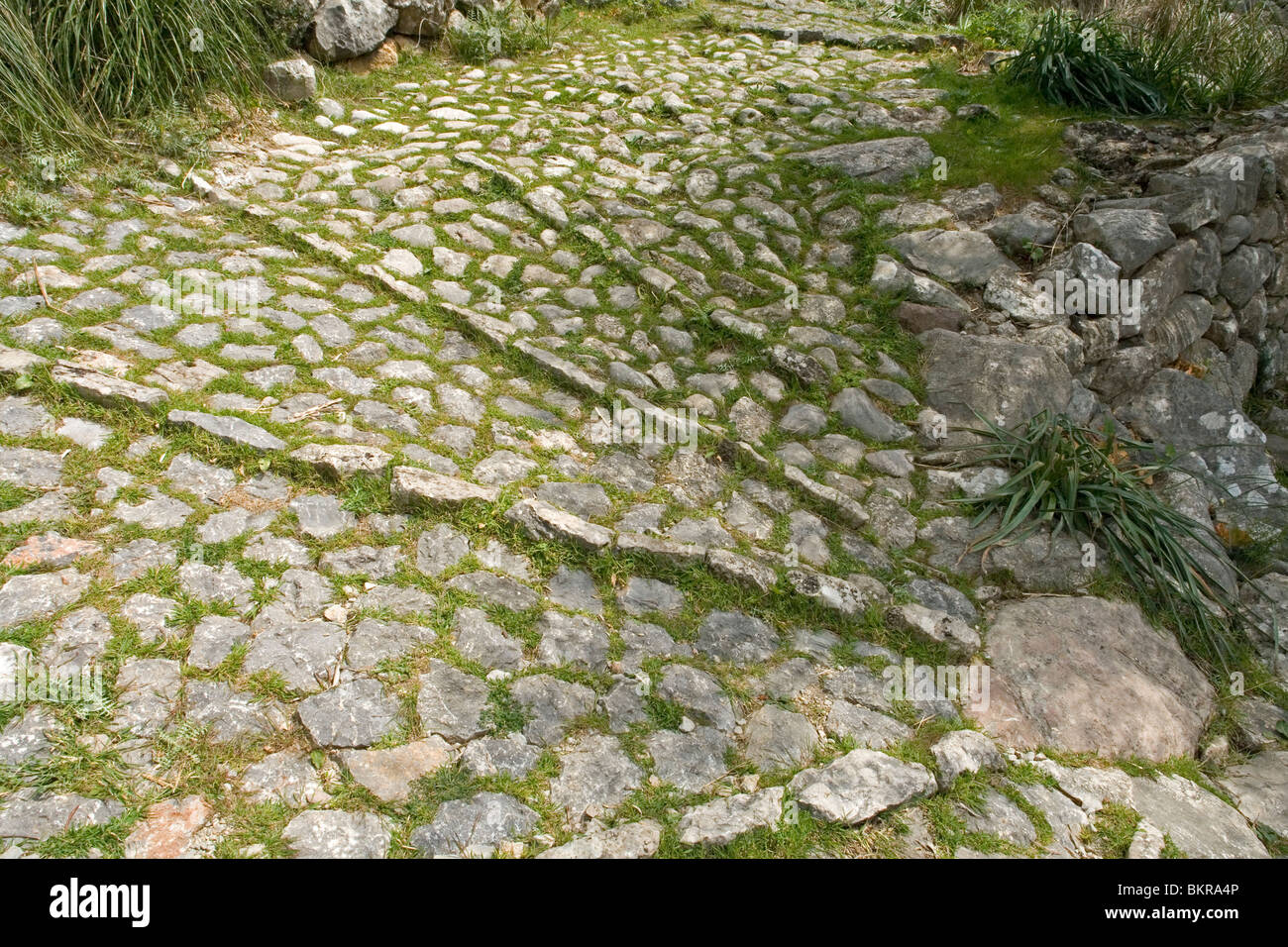 A part of the medieval pilgrimage route to the Lluc monastery (Majorca ...