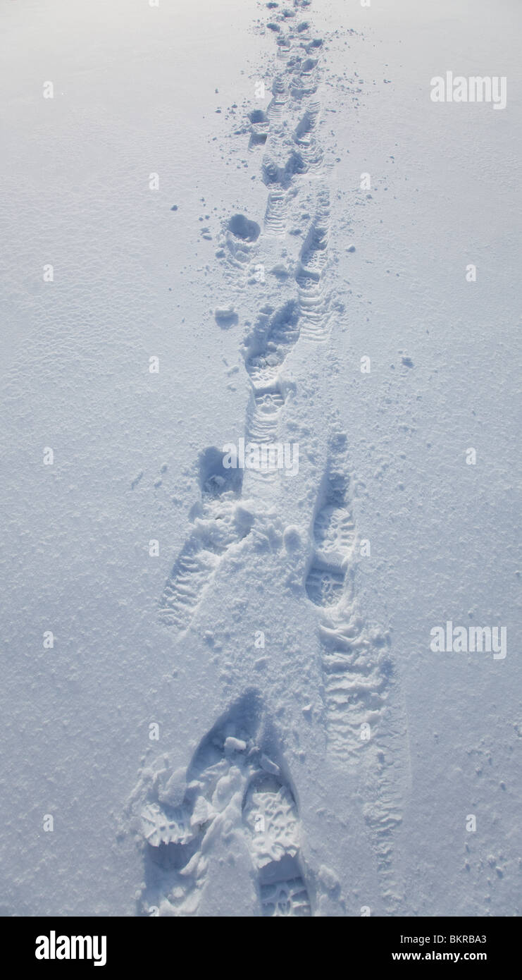 Shoe prints on snow , Finland Stock Photo - Alamy