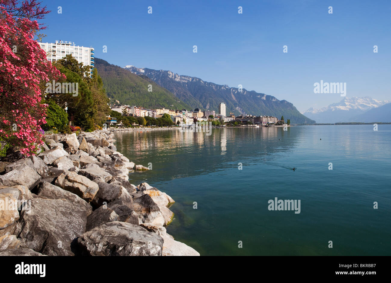 Montreux switzerland mountain town hi-res stock photography and images ...