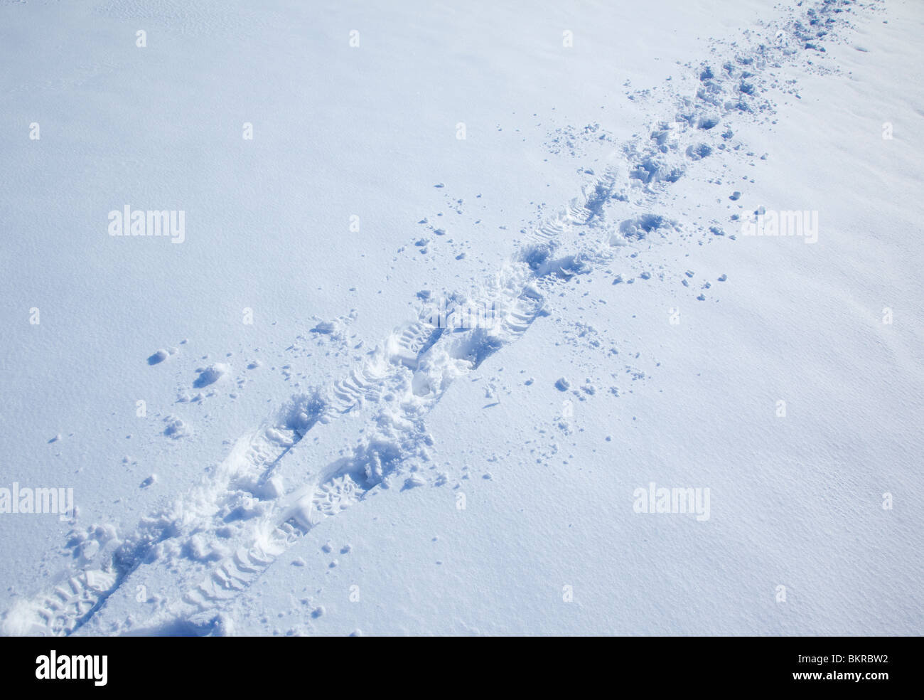 Shoe prints on snow , Finland Stock Photo - Alamy
