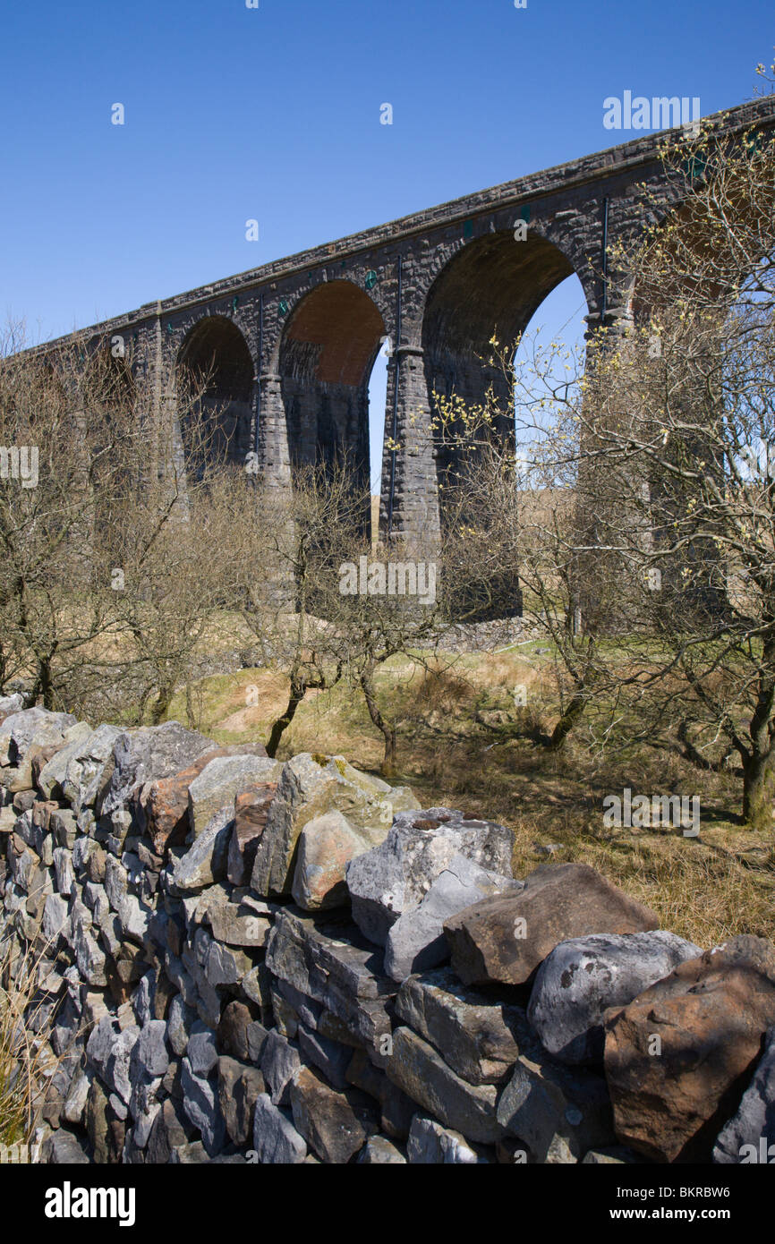 The Ribblehead Viaduct, Yorkshire Dales, England, UK Stock Photo - Alamy