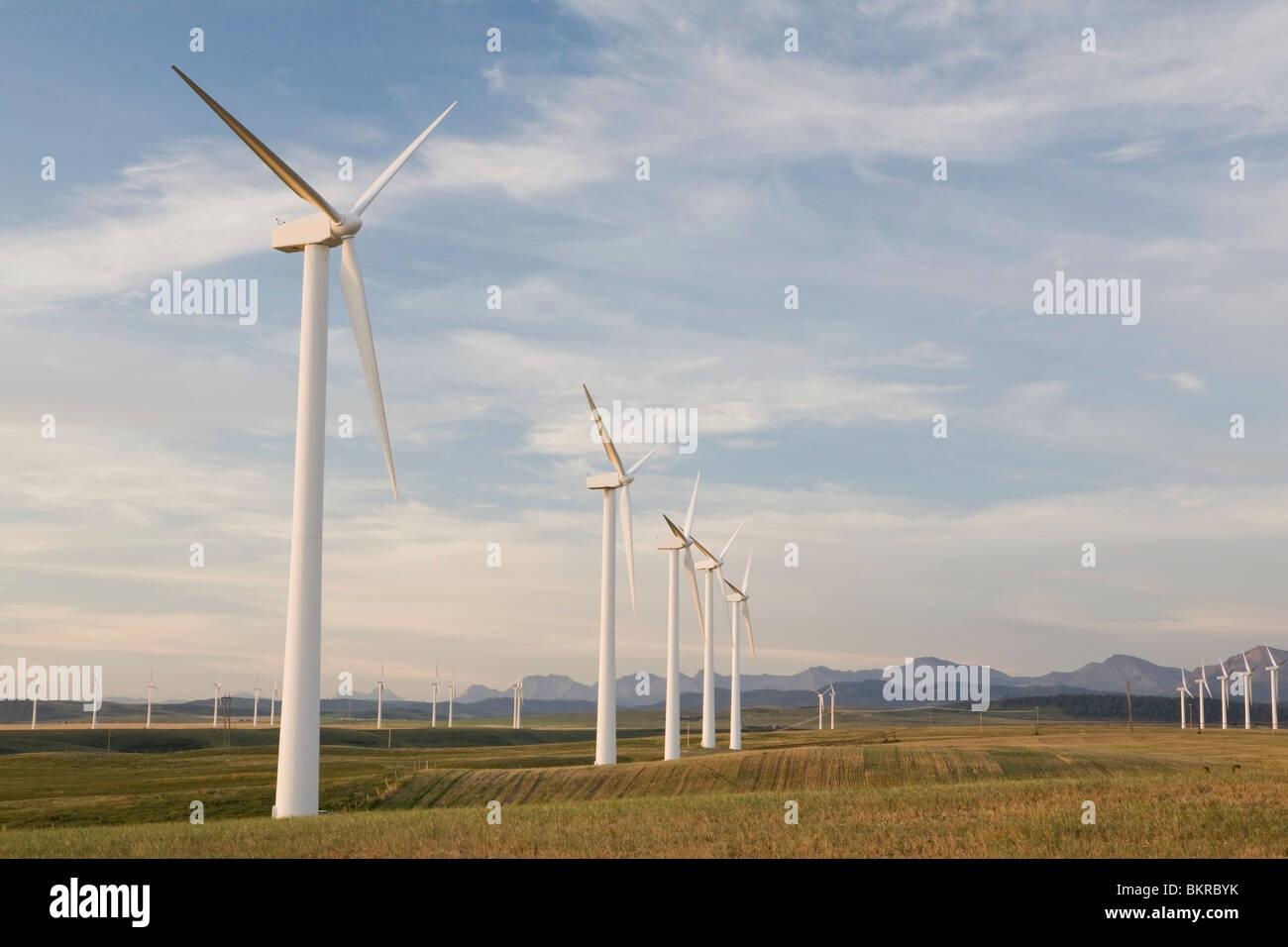 Pincher Creek, Alberta, Canada; Wind Turbine Farm Stock Photo - Alamy