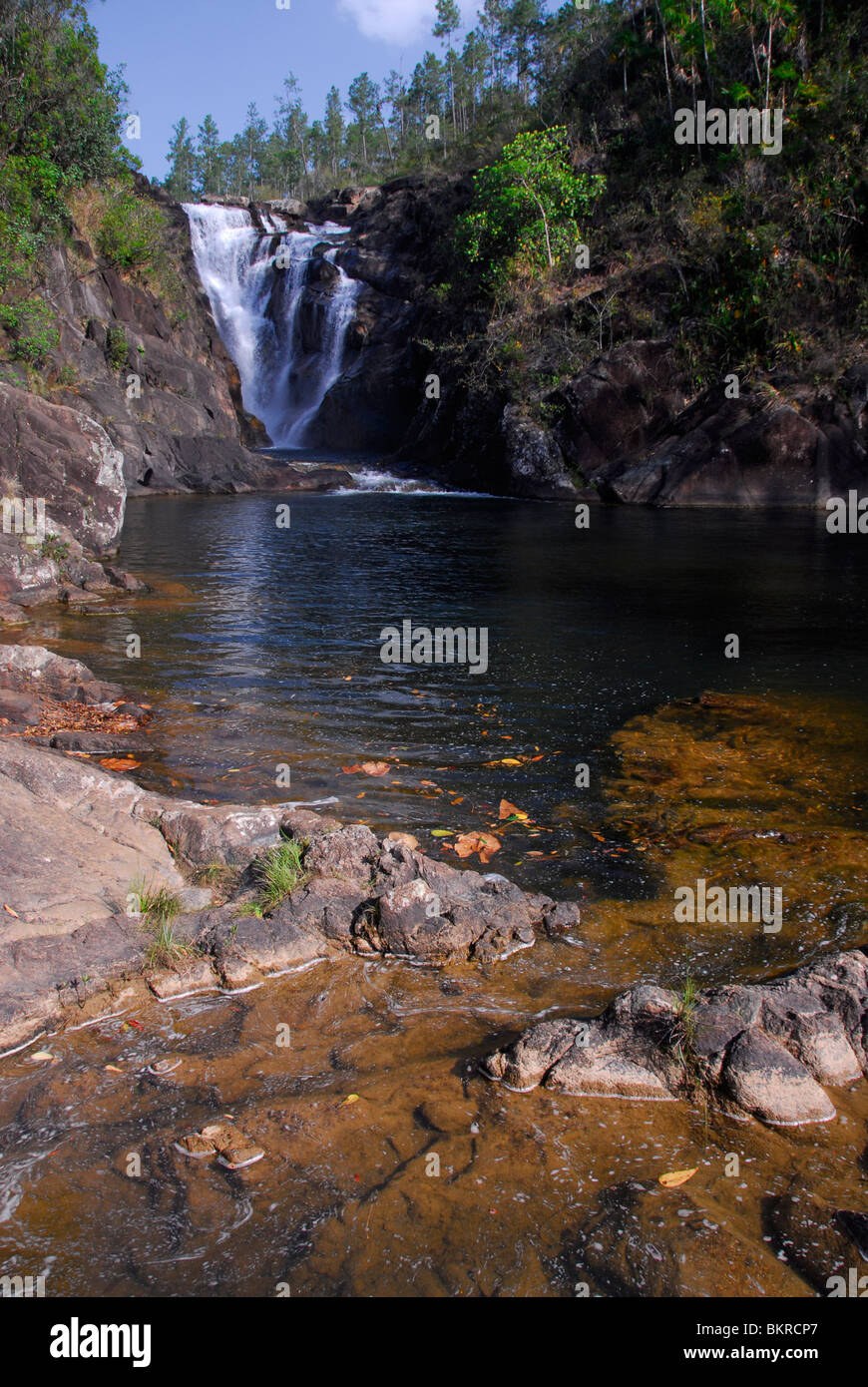 Rio Frio waterfall, Mountain Pine Ridge Forest Reserve, Cayo District ...