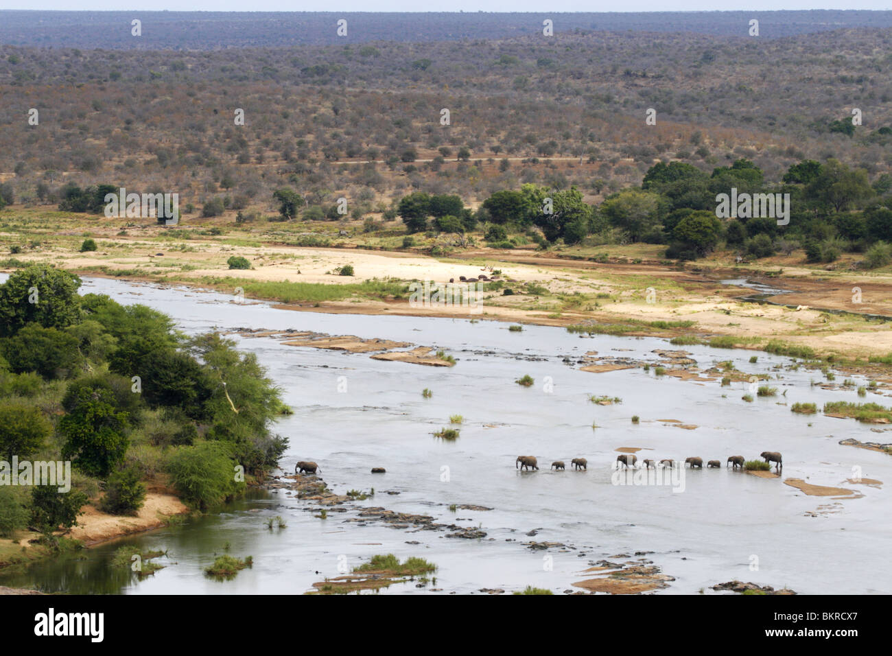 Olifants river kruger national park hi-res stock photography and images ...