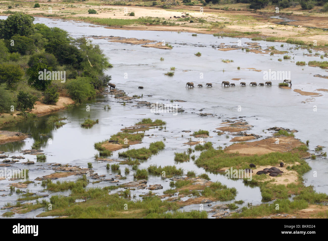 Olifants river kruger national park hi-res stock photography and images ...