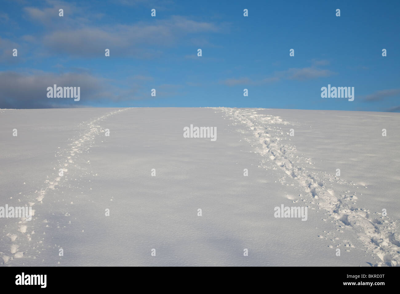 Snowy human prints hi-res stock photography and images - Alamy