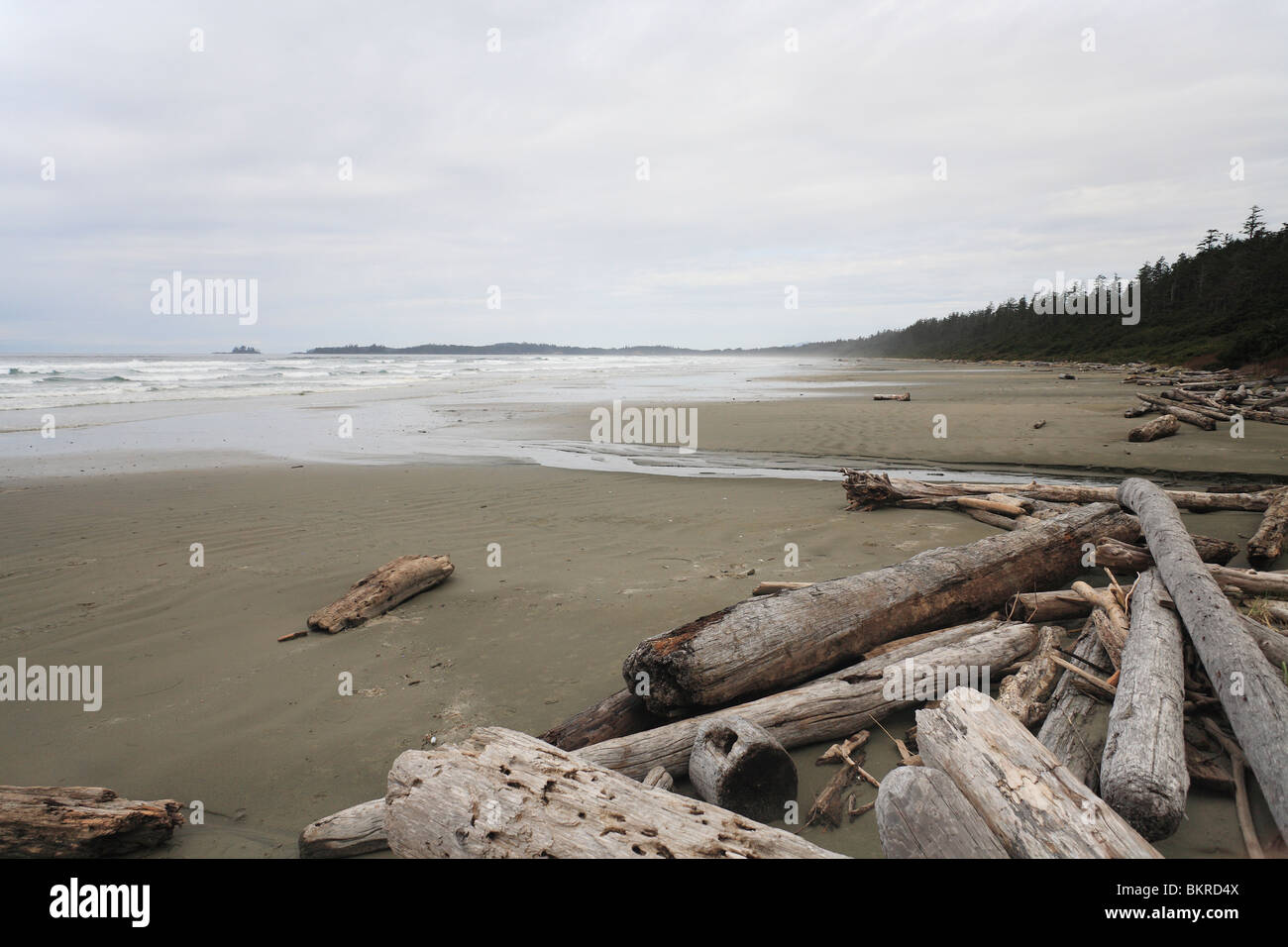 Long Beach, Pacific Rim National Park Reserve, Vancouver Island ...