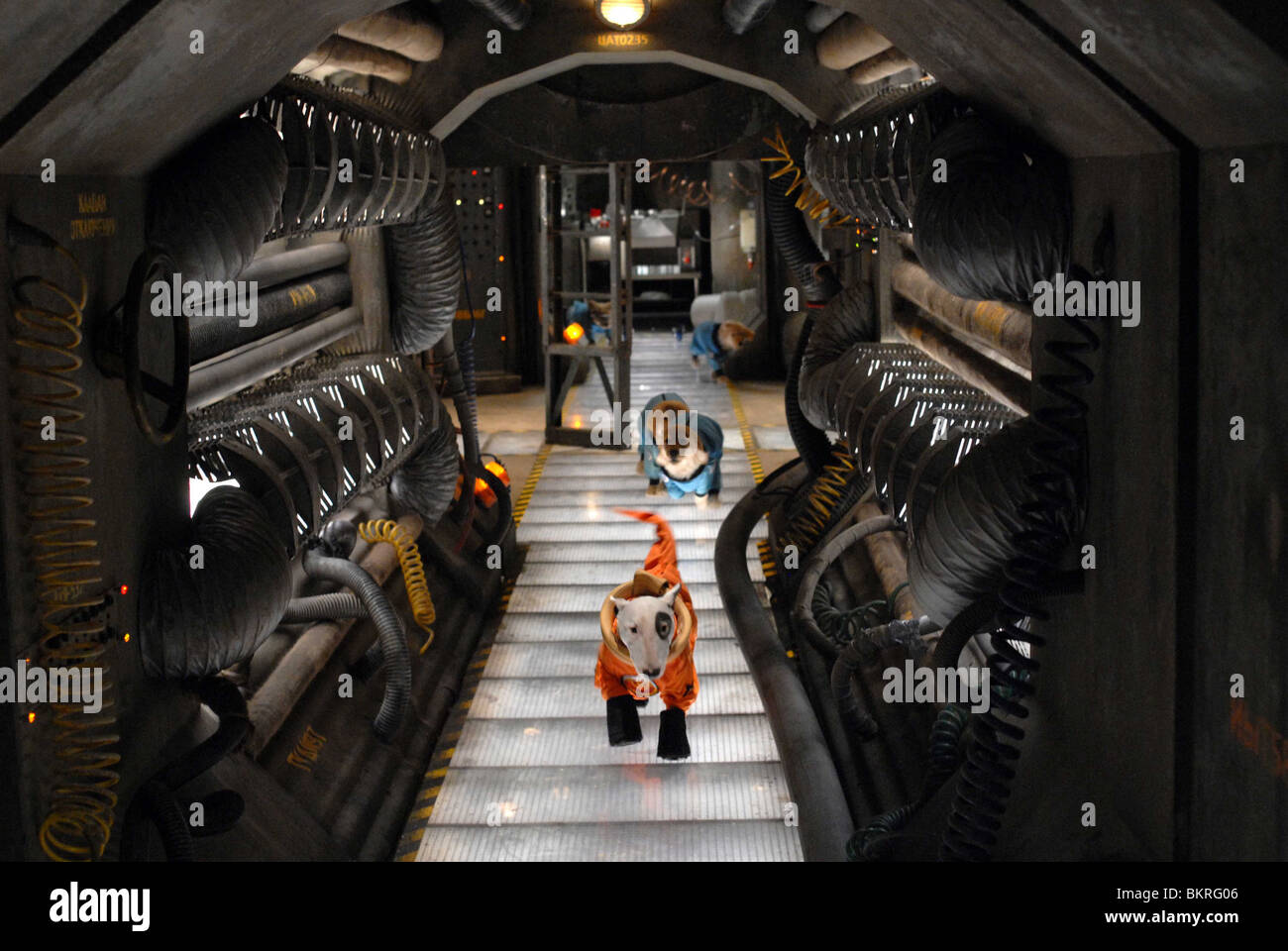 SPACE BUDDIES (2009) ROBERT VINCE (DIR) 002 Stock Photo - Alamy