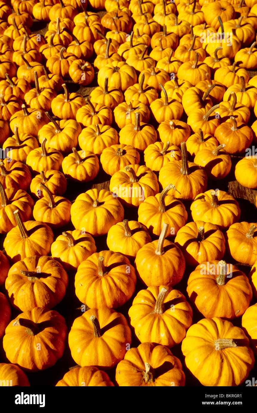 Half moon farm hi-res stock photography and images - Alamy