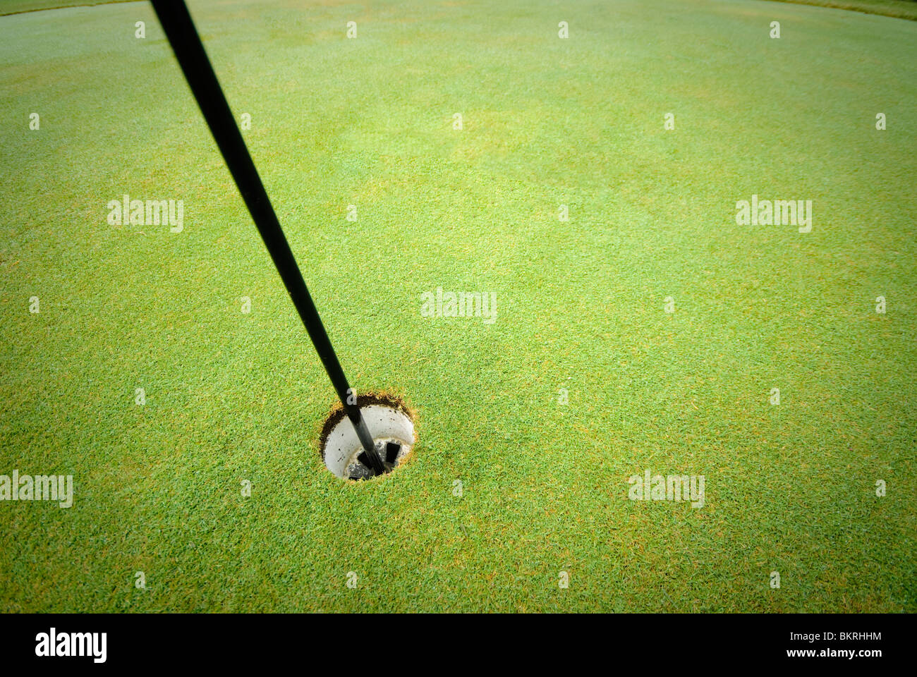 Precise mowing hi-res stock photography and images - Alamy