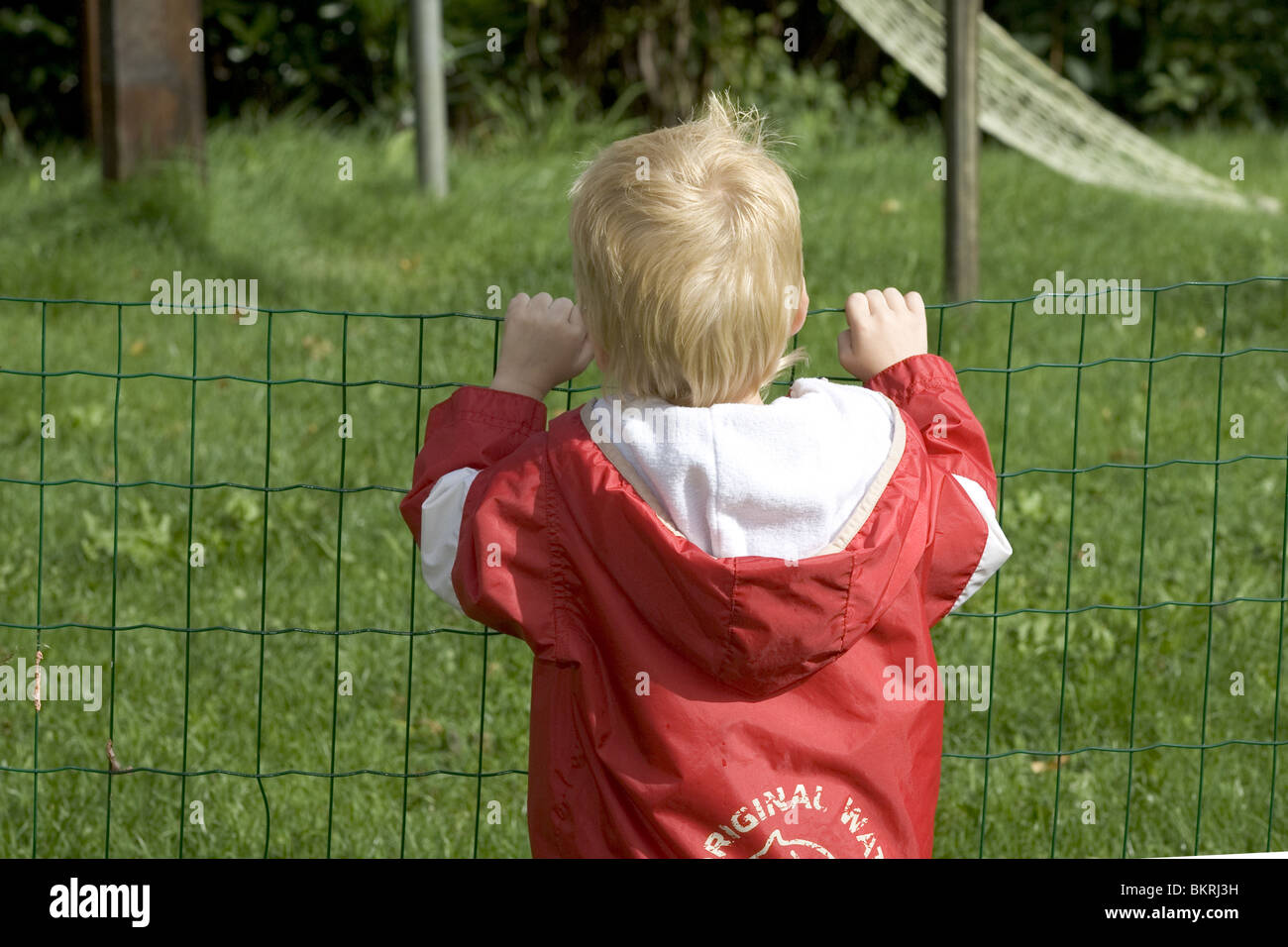 Child looking over fence Stock Photo - Alamy