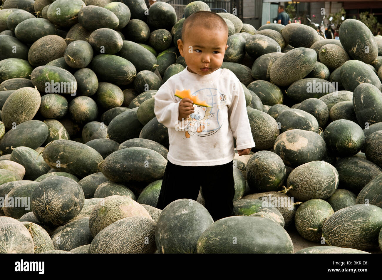 In an ocean of melons Stock Photo - Alamy