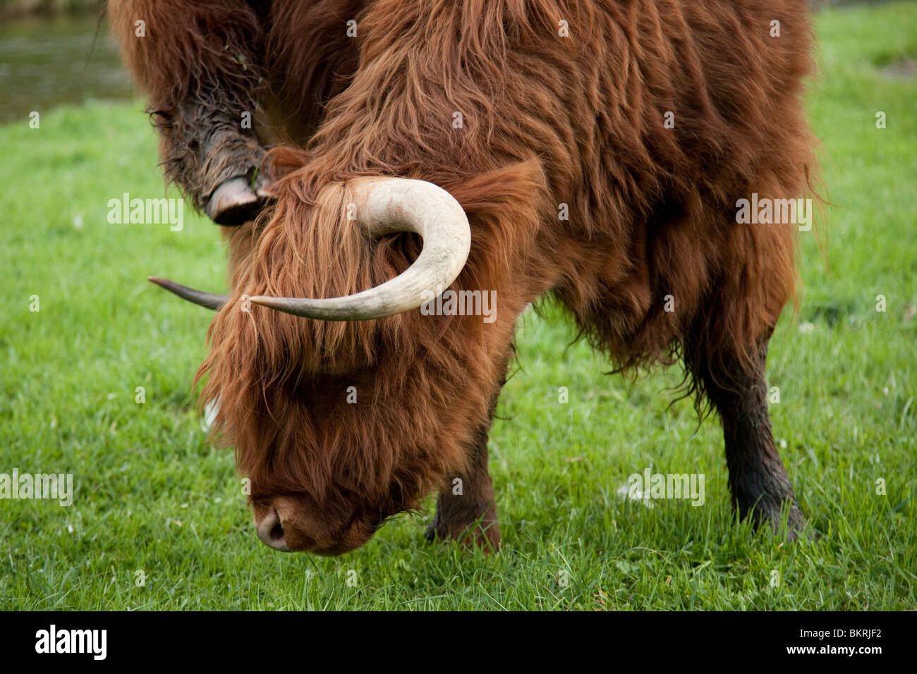 Shoreham village kent Stock Photo - Alamy