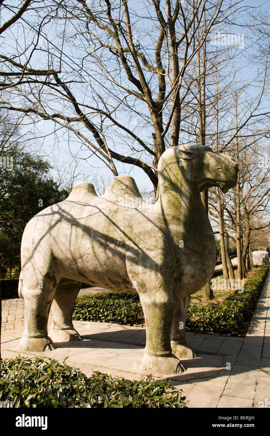 Ming tombs stone animal on Purple mountain, Nanjing, China Stock Photo ...