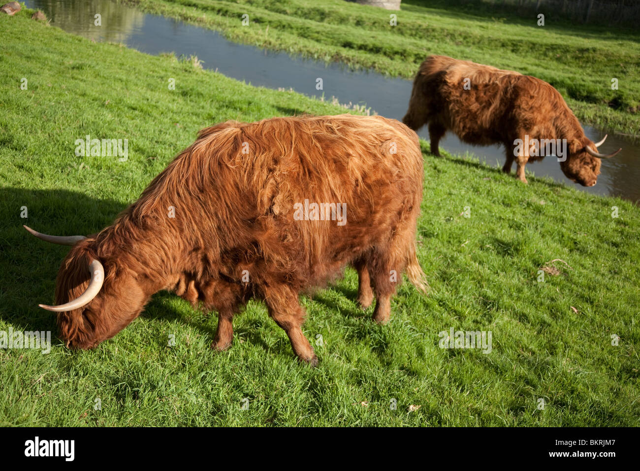 Shoreham village kent Stock Photo - Alamy