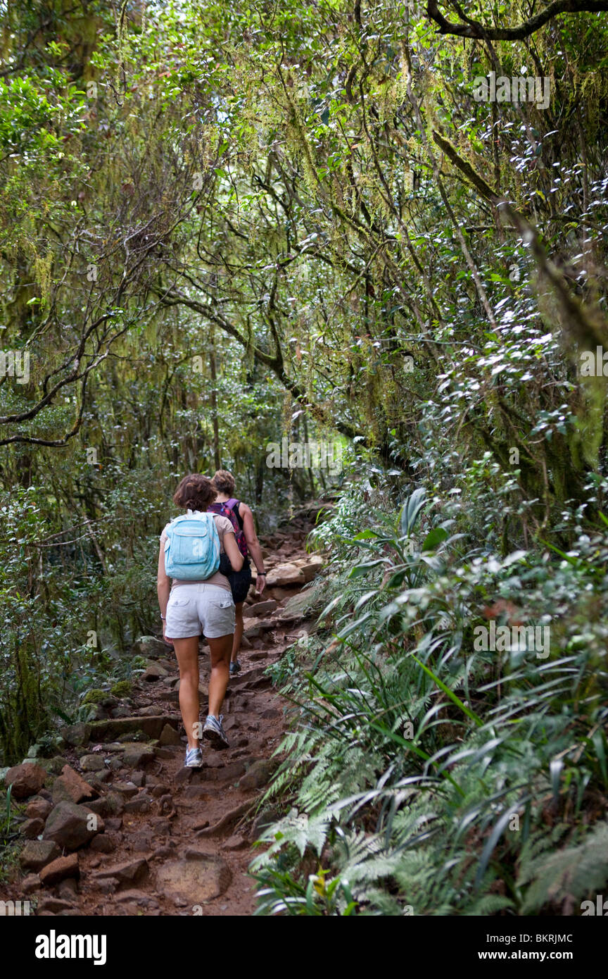 Mt warning hi-res stock photography and images - Alamy