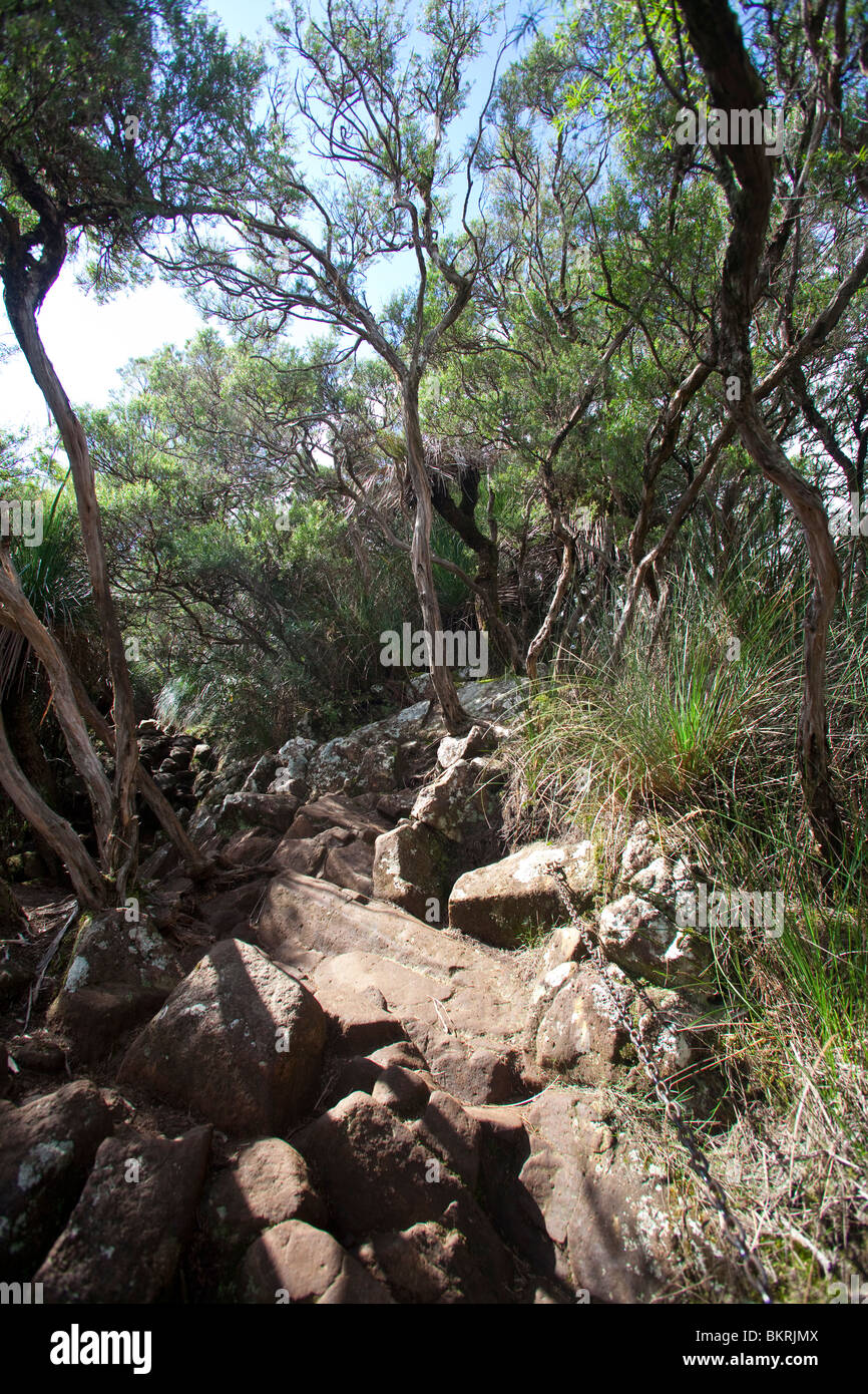 Nsw australia track path climb hi-res stock photography and images - Alamy