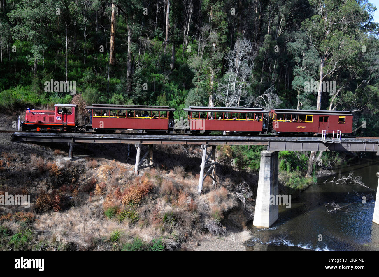 Walhalla Goldfields Railway crossing the Thomson River, Victoria ...