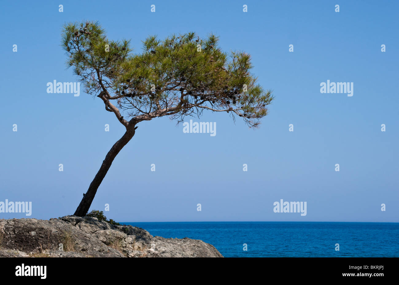 Phaselis bay hi-res stock photography and images - Alamy
