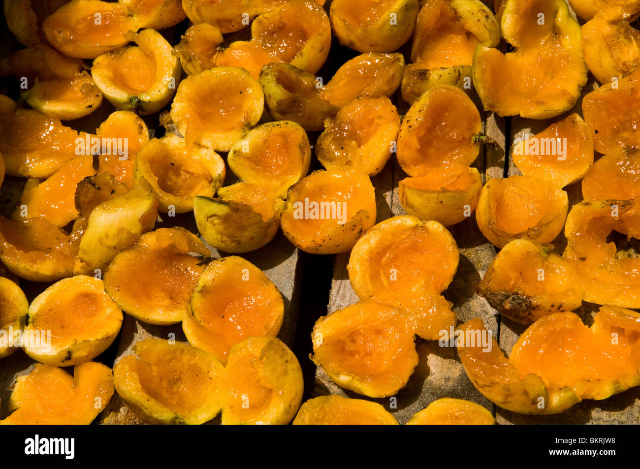 Hunza apricots pakistan hi-res stock photography and images - Alamy