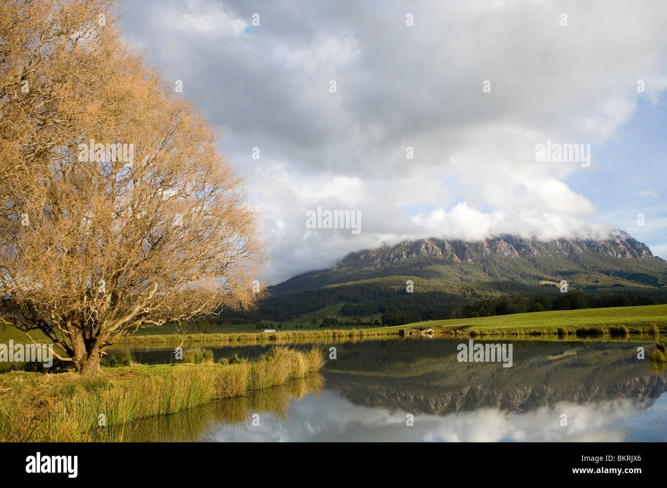 Mt roland tasmania hi-res stock photography and images - Alamy