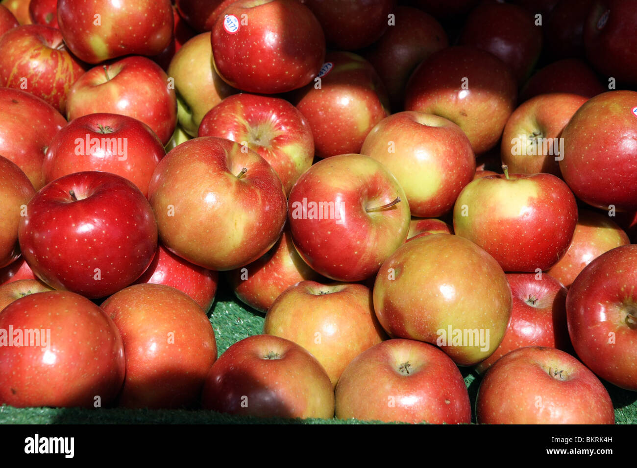 Bushel of flowers hi-res stock photography and images - Alamy