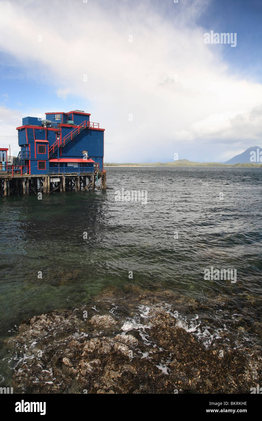 Ecotrust building on wharf, Tofino, Vancouver Island, BC Stock Photo ...