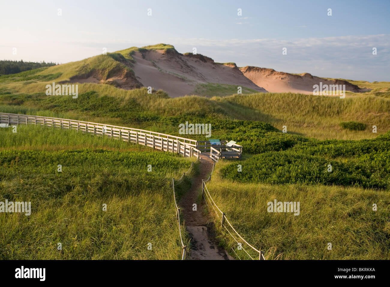 Greenwich prince edward island canada hi-res stock photography and images - Alamy