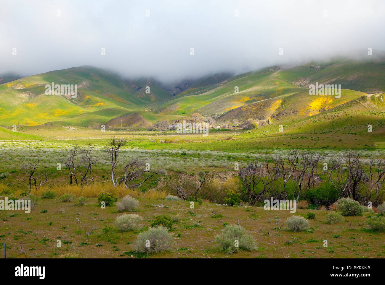 A gorman hi-res stock photography and images - Alamy