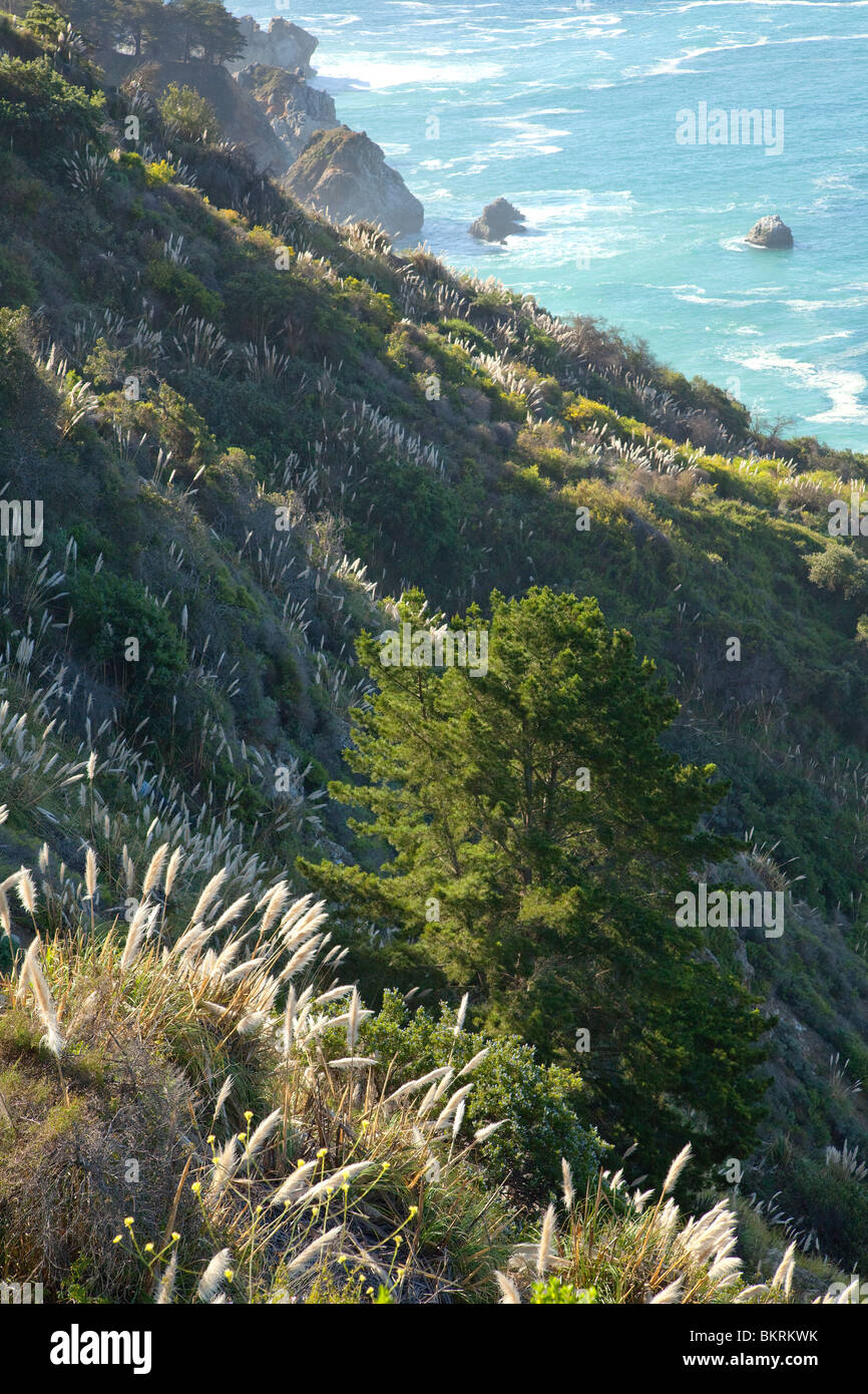 Big sur spring hi-res stock photography and images - Alamy