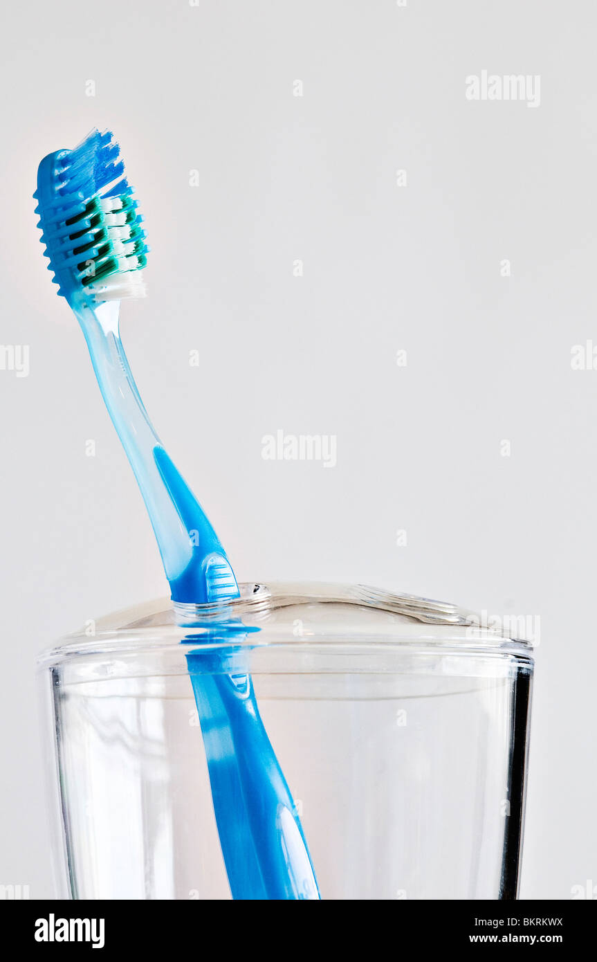 Single blue toothbrush in bathroom toothbrush holder Stock Photo - Alamy