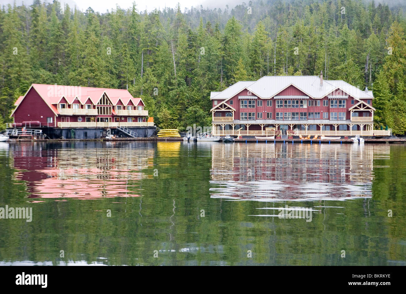 Princess royal island hi-res stock photography and images - Alamy