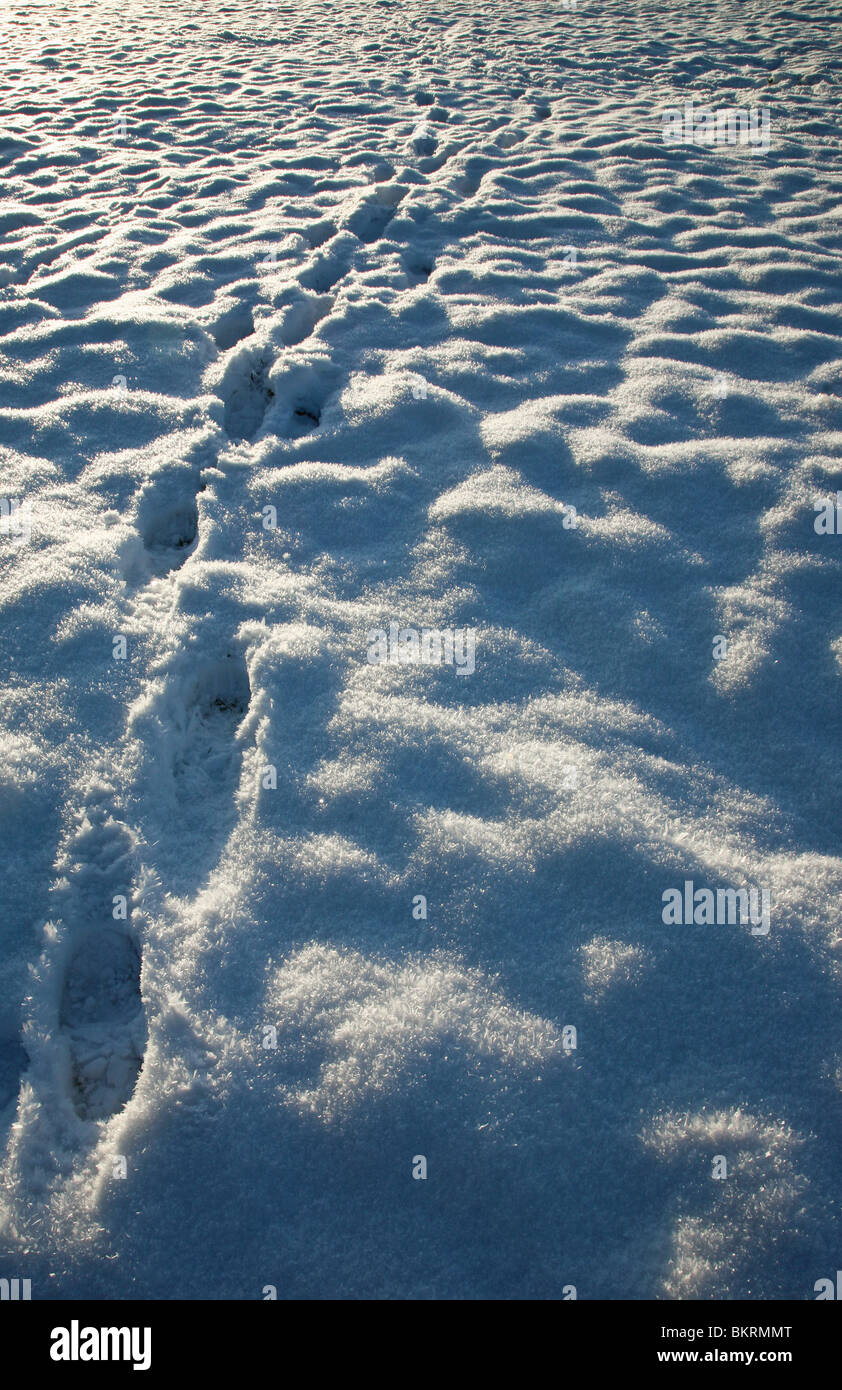 A snow scene in winter with footprints in the snow Stock Photo - Alamy