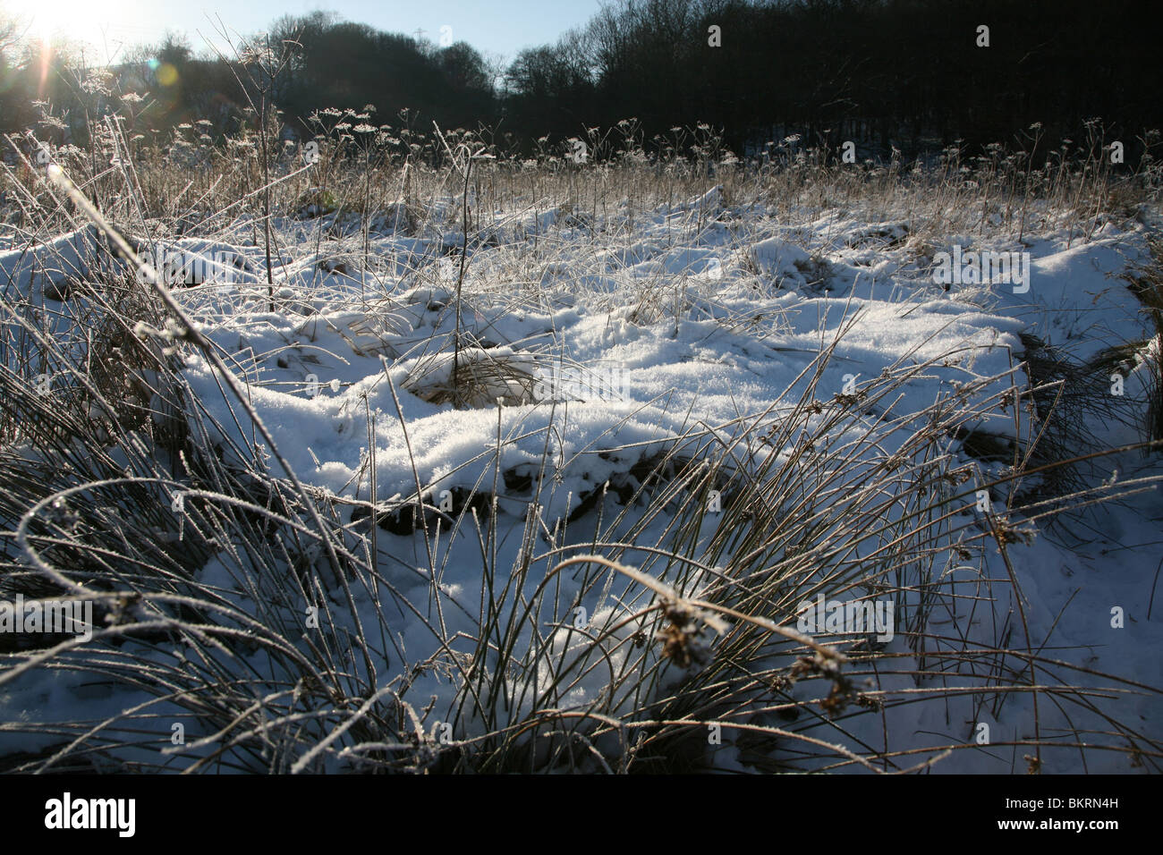 A snow scene in winter Stock Photo - Alamy