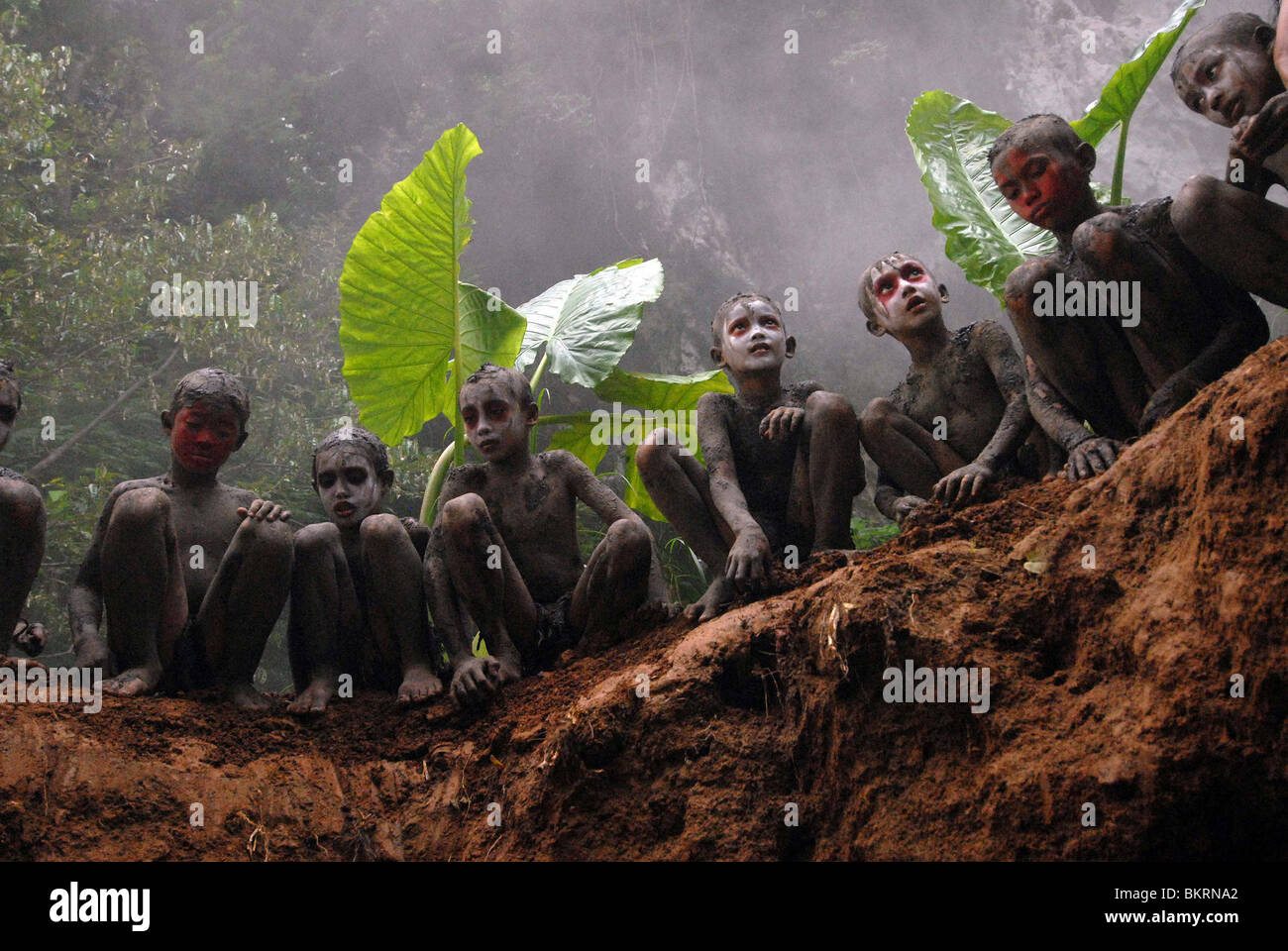 VINYAN -2008 FABRICE DU WELZ (DIR Stock Photo - Alamy