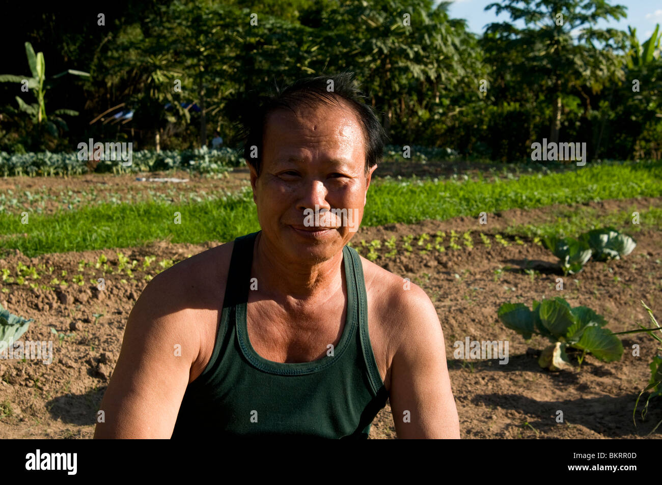 A Lao farmer in his field in Luang Prabang Laos Stock Photo - Alamy