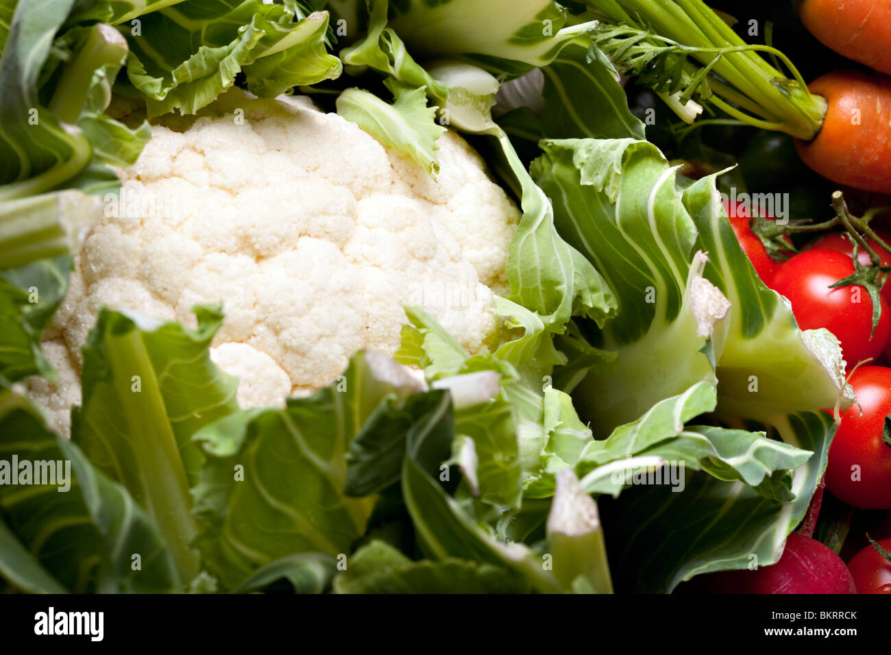 Set of different fresh vegetables Stock Photo - Alamy