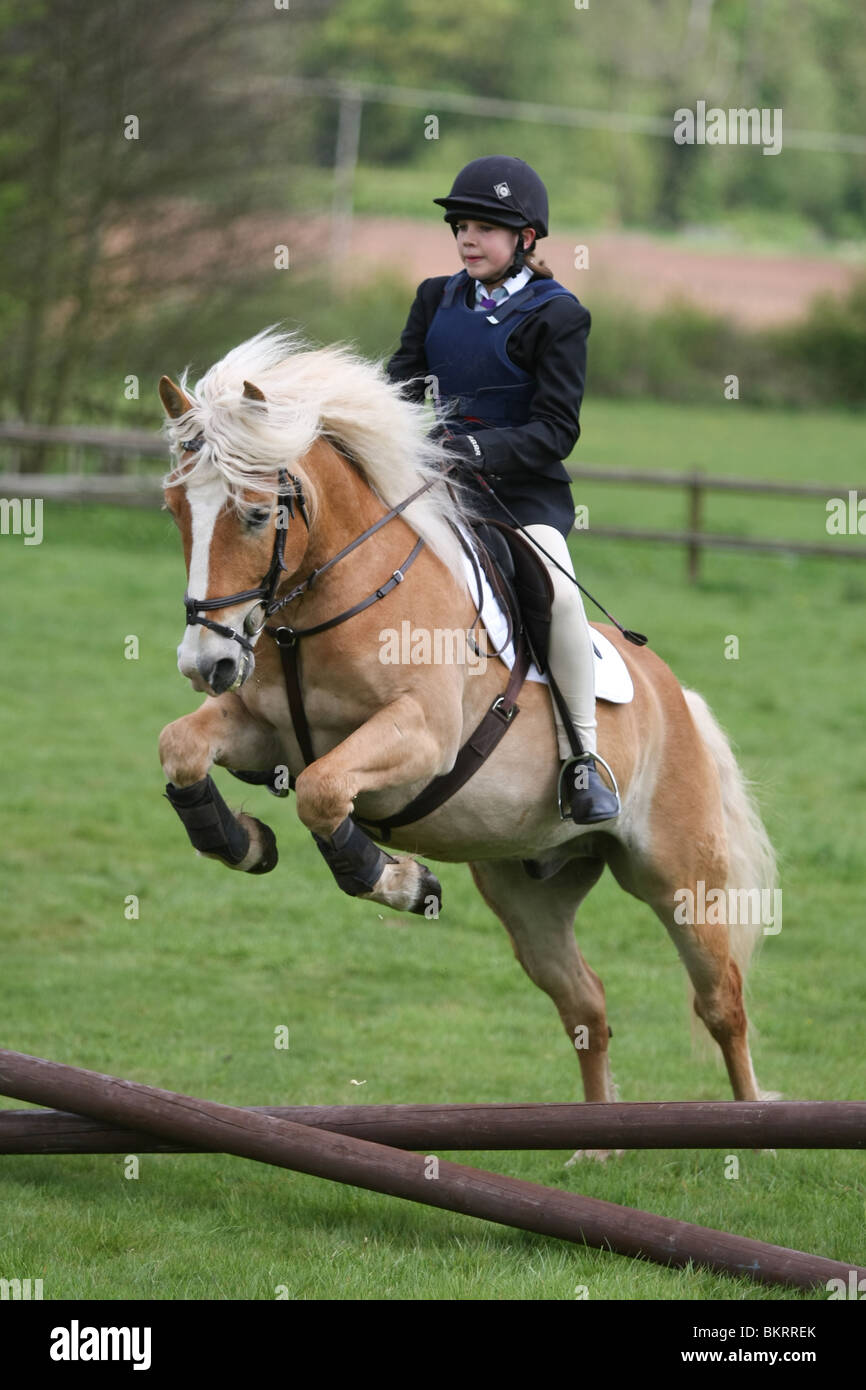 Showjumping rider clearing a fence Stock Photo - Alamy