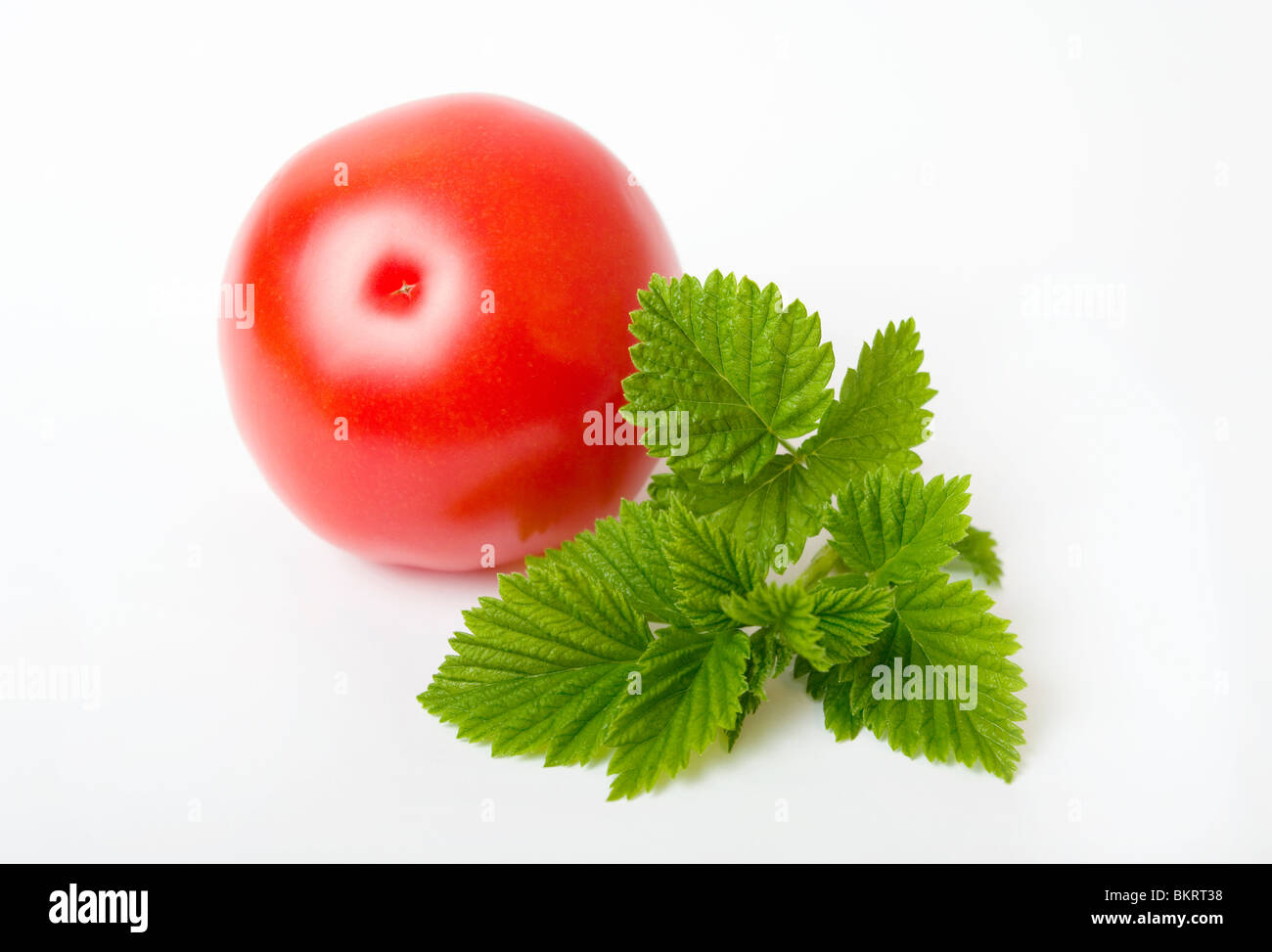 The ripe tomato Stock Photo - Alamy