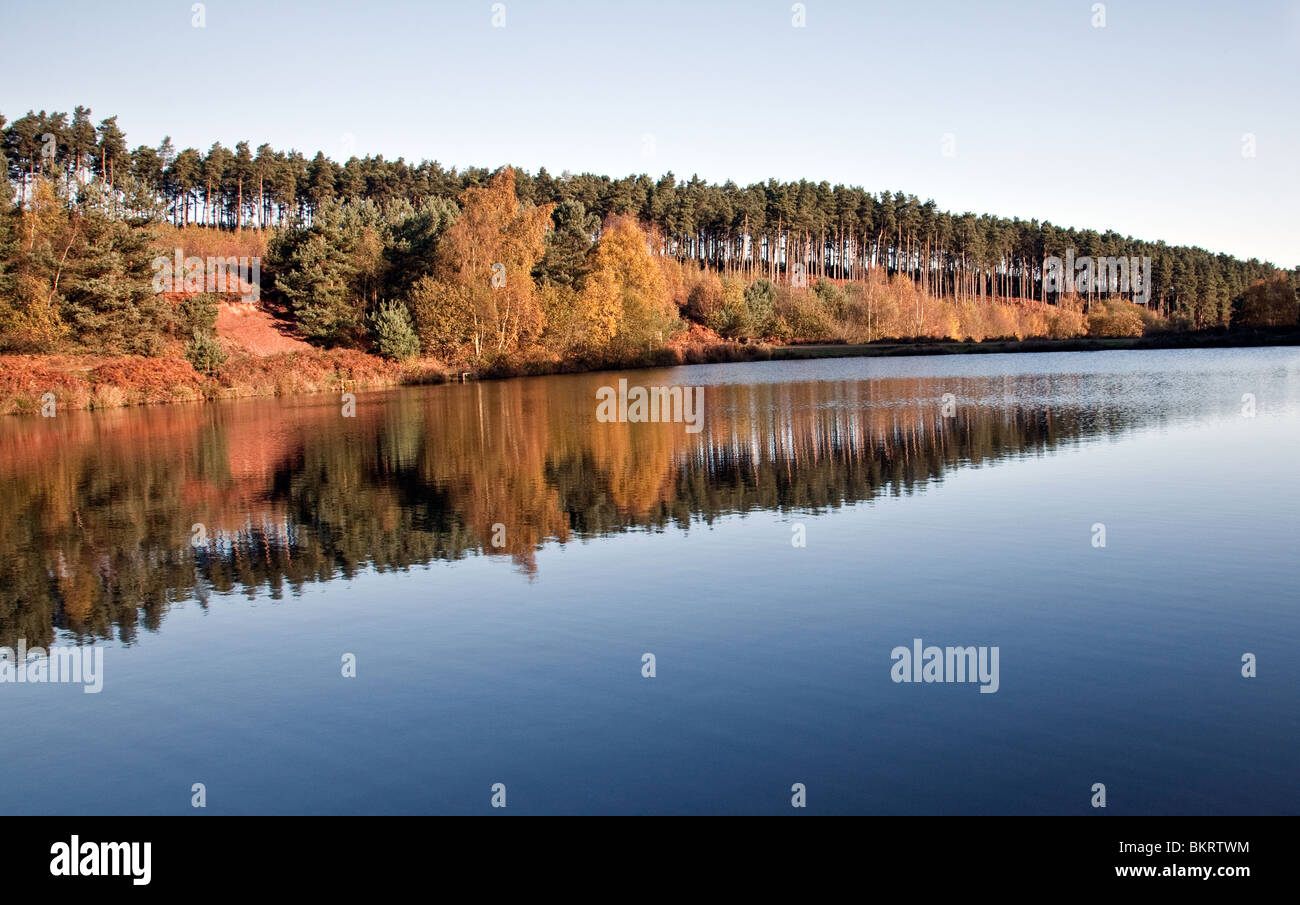 Fair Oak pool (Rugeley, Staffordshire) trees in autumn colours ...