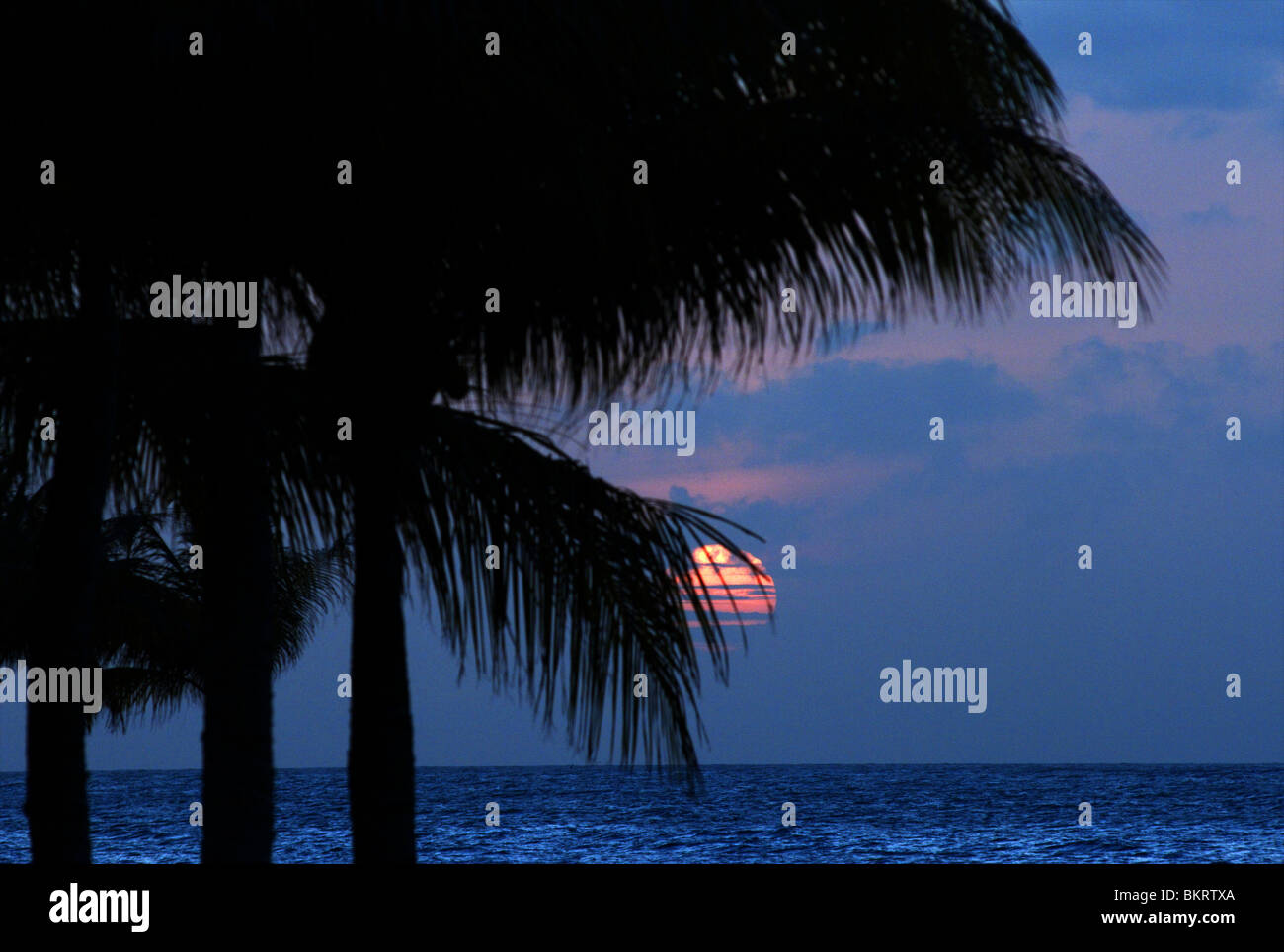 Dutch west indies curacao island hi-res stock photography and images ...