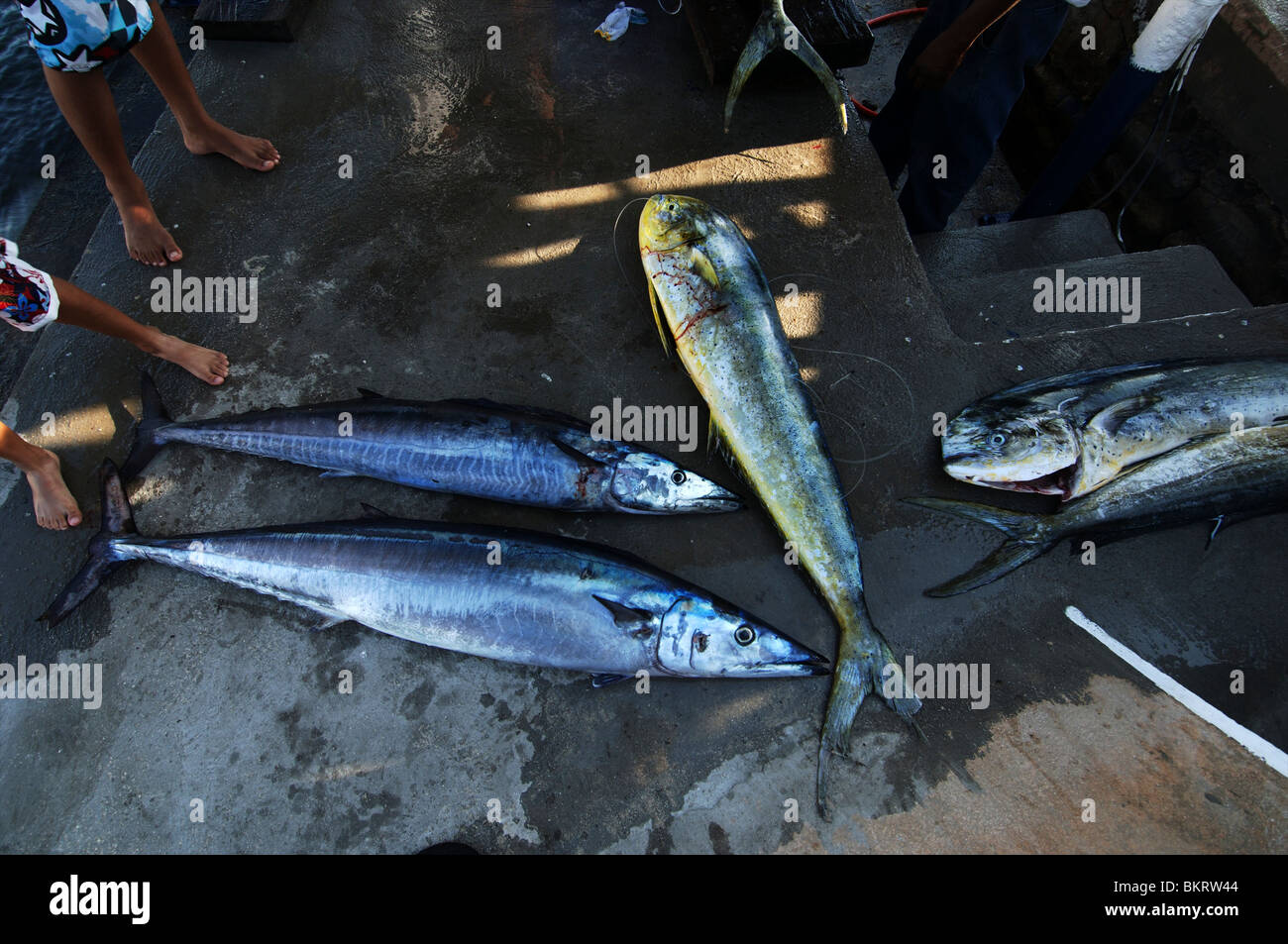 Curacao, the yacht club in the marina of the Spanish Water during a ...
