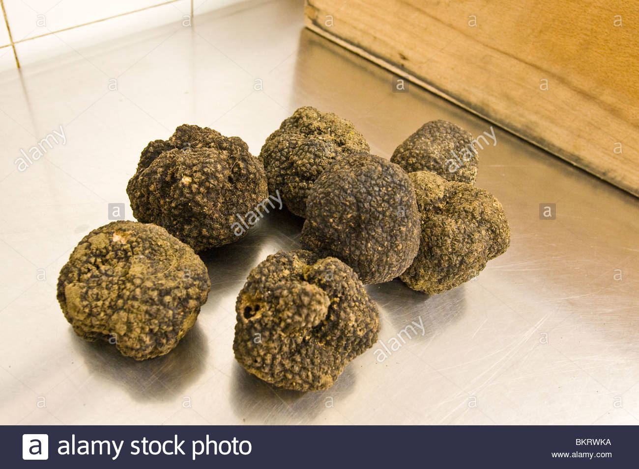 Alba Truffle High Resolution Stock Photography and Images - Alamy